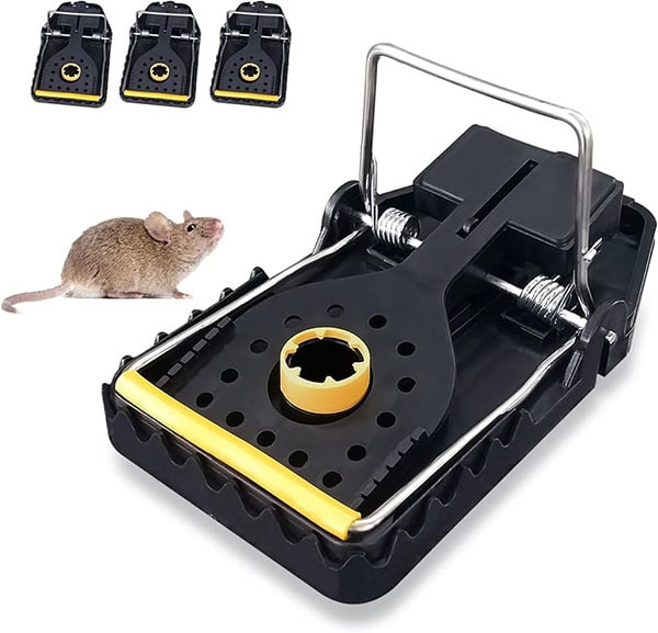 Small Mice, Big Problems
