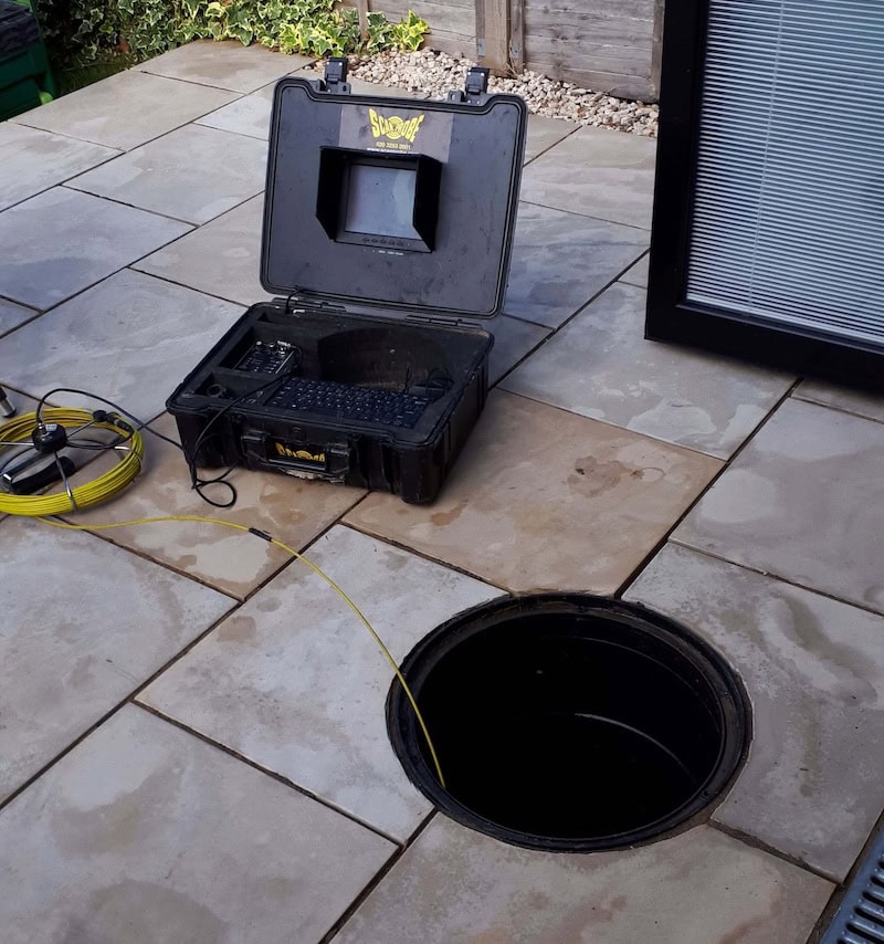Professional Specialist Rat Investigation & Proofing